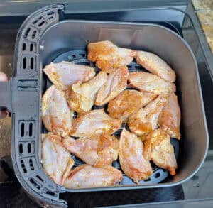 Ninja vs. Instant Pot vs. Cosori vs. Typhur vs. Chefman (Best Air Fryer?)