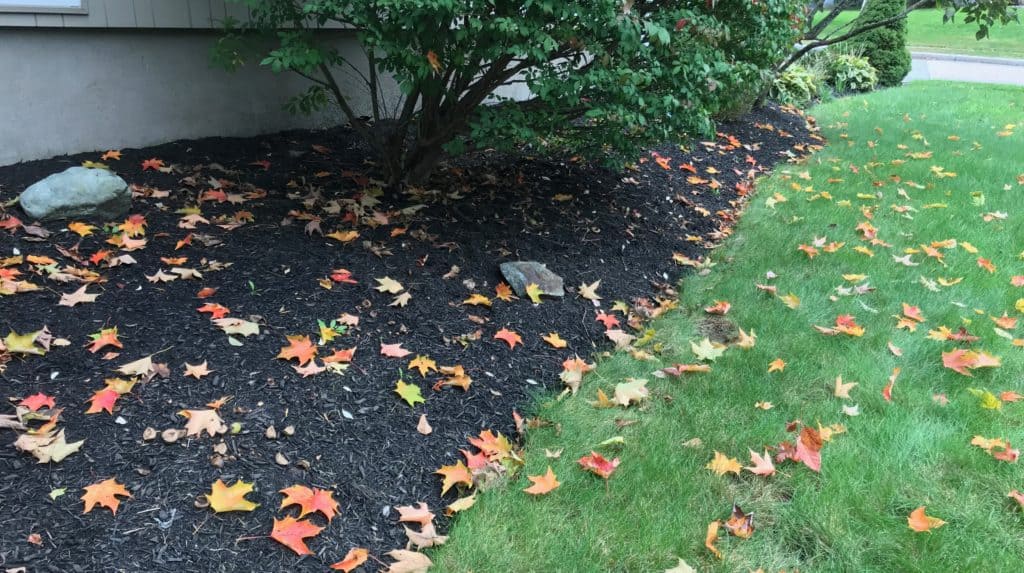 What Is the Purpose of Mulch? (5 Reasons to Use Mulch) - Prudent Reviews
