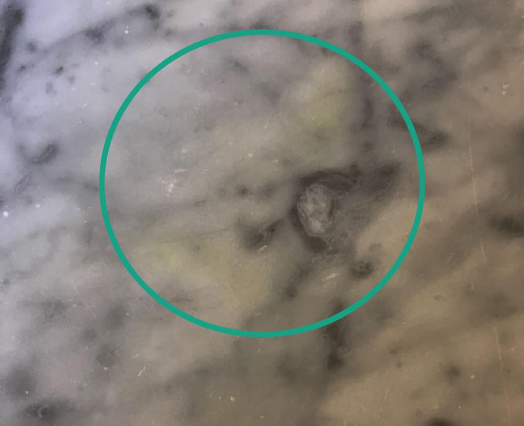 13 Pros & Cons of Quartz Countertops: Are They Worth It? - Prudent Reviews