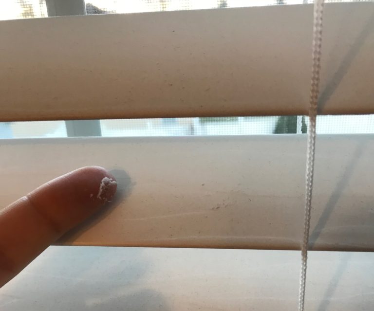 Blinds vs. Shades (Which Is Better?) - Prudent Reviews