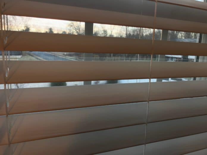 Blinds vs. Shades (Which Is Better?) - Prudent Reviews