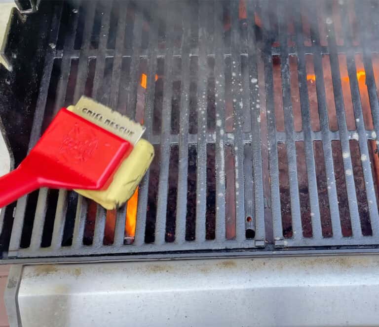 Best Grill Brush? I Tested Grill Rescue, BBQ Daddy, Weber & GRILLART