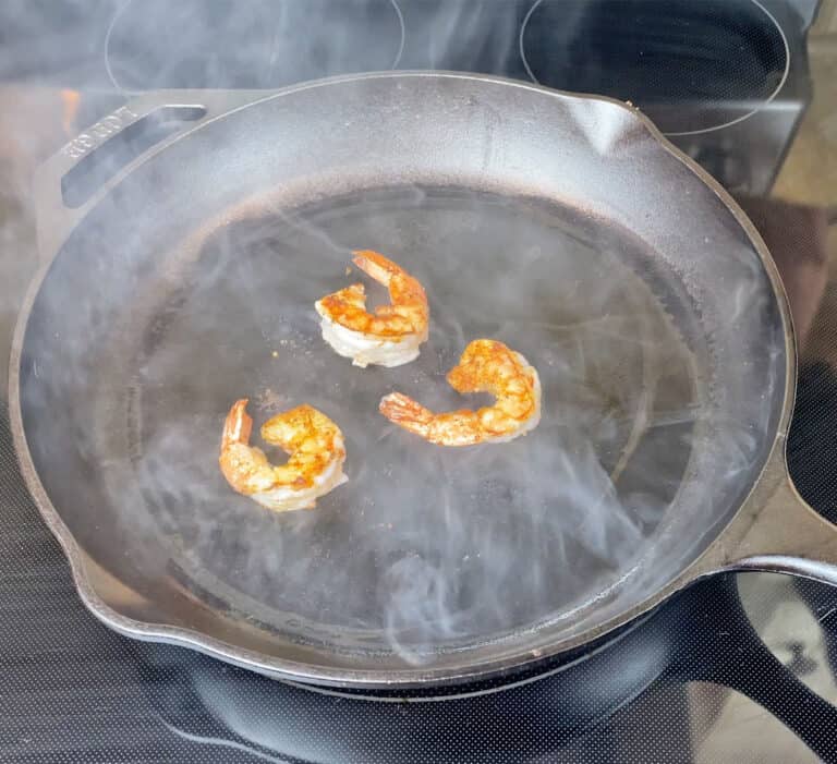 Are Lodge Cast Iron Skillets Good? In-Depth Review After 5+ Years