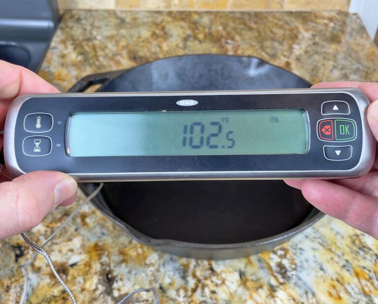 Are Lodge Cast Iron Skillets Good? In-Depth Review After 5+ Years