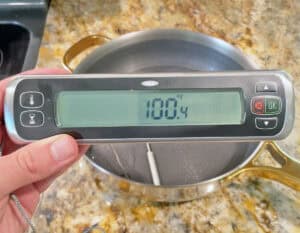 Our Place Titanium Always Pan Pro Review (Test Results)