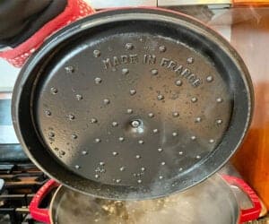 Staub vs. Le Creuset Dutch Ovens (Test Results Revealed)