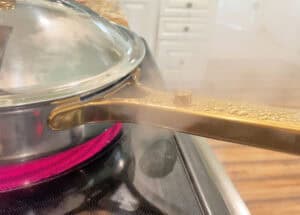 Our Place Titanium Always Pan Pro Review (Test Results)